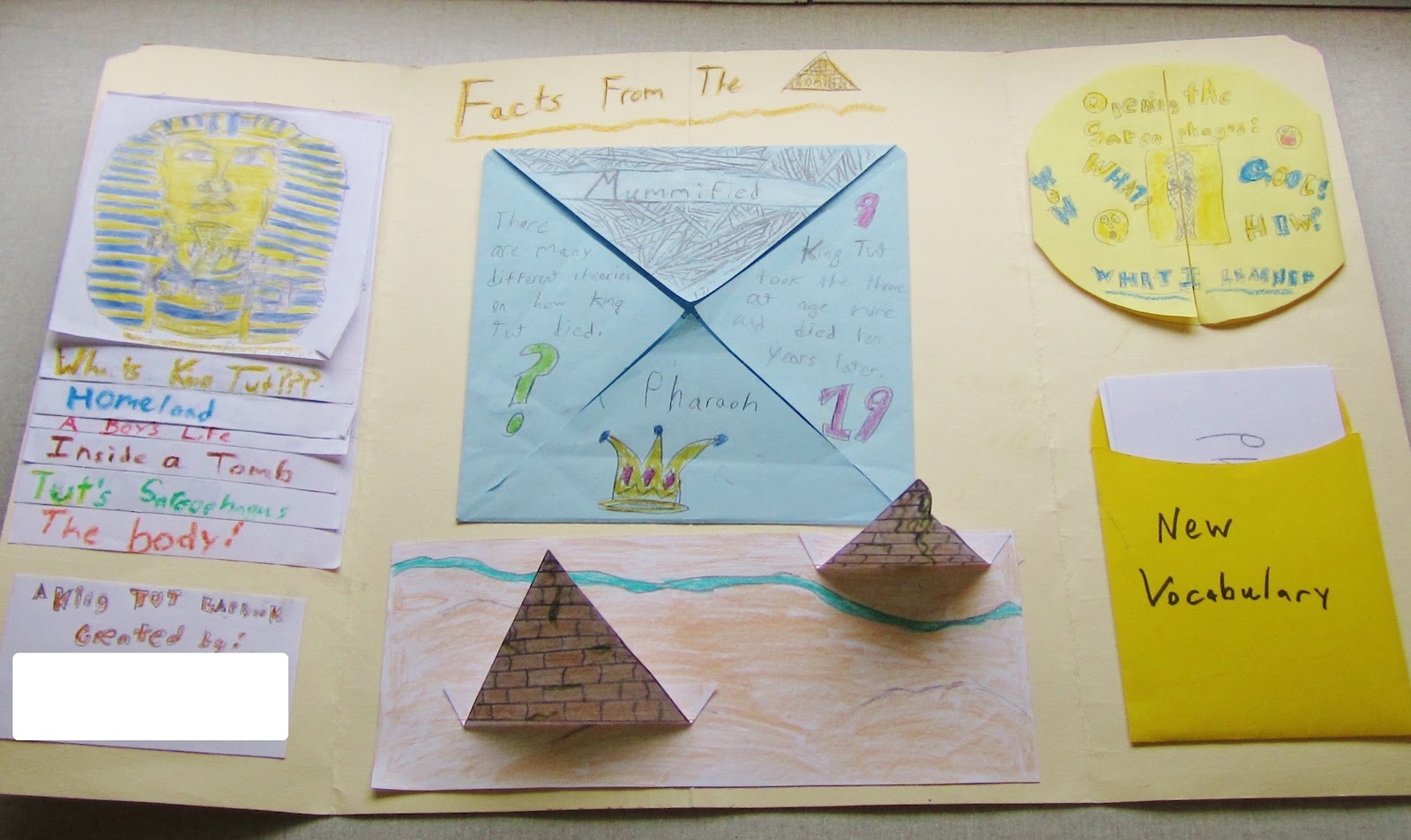 Teaching My Friends!: Lapbooks and Cheesecake!